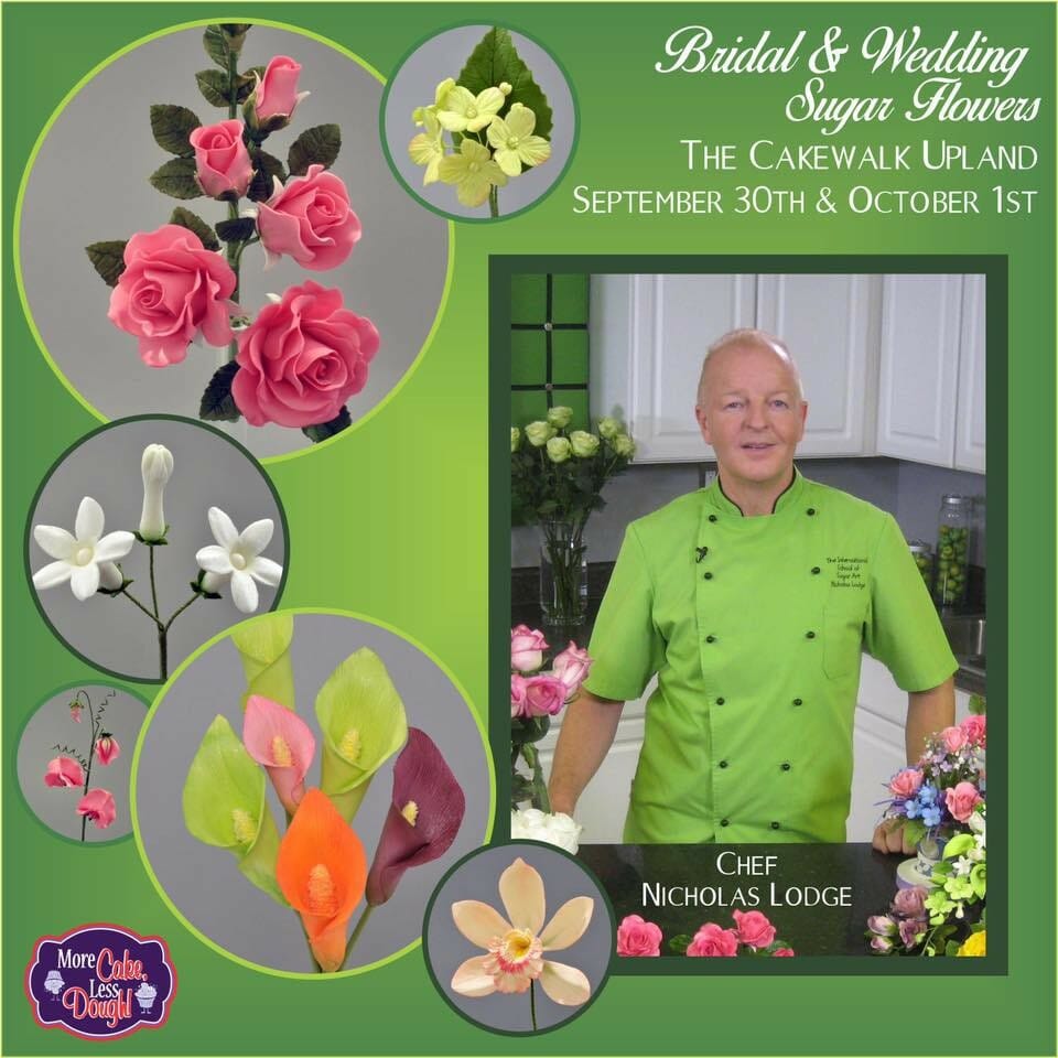 Fall in love with Cake Decorating this fall! - Blog - The International ...