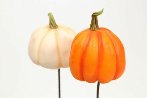 Falling for Chef Nicholas' Fall Foliage! - Blog - The International ...