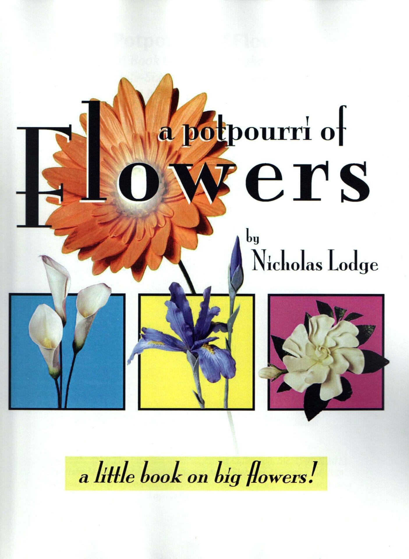 Shop - The International Sugar Art Collection by Nicholas Lodge